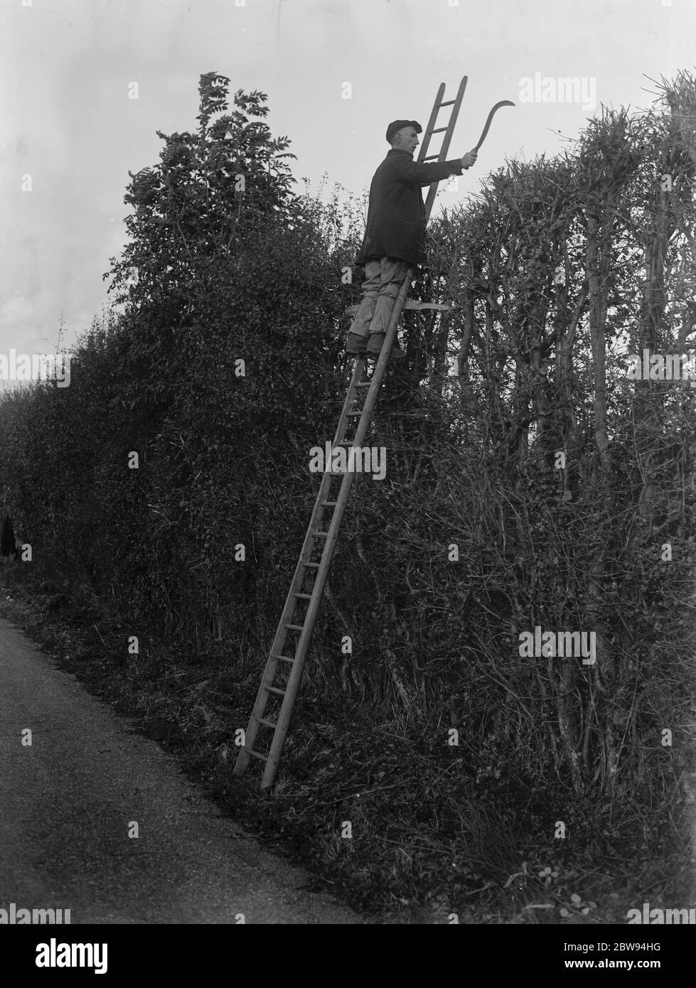 Farmers hedge Black and White Stock Photos & Images - Alamy