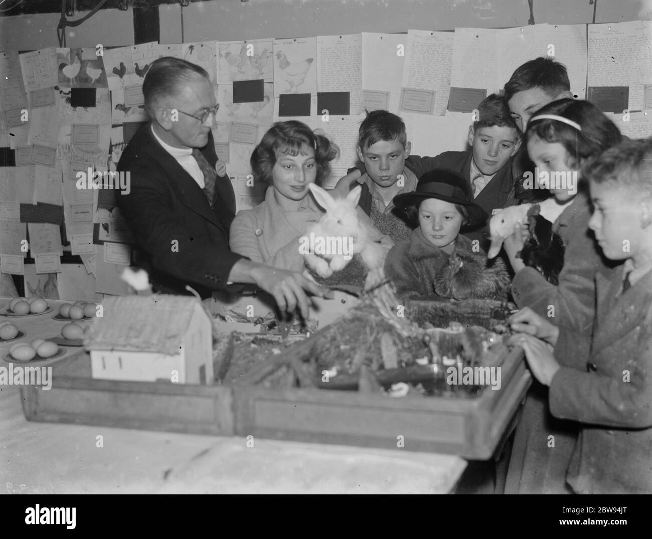 Poultry show at Chislehurst , Kent . 1936 Stock Photo - Alamy
