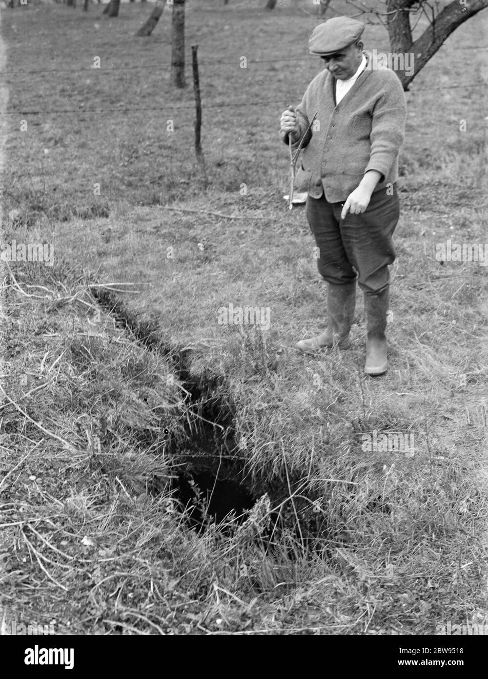 Water diviner stick hi-res stock photography and images - Alamy