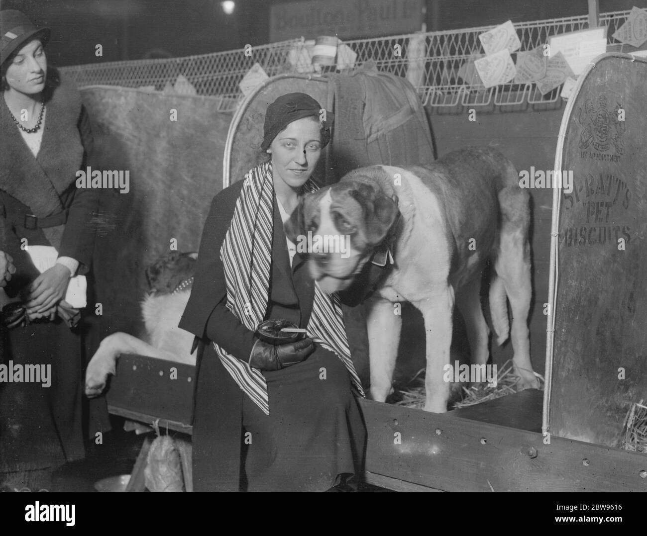 Mrs Amy Mollison meets Mr Cruft . Mrs Amy Mollison ( the former Miss ...