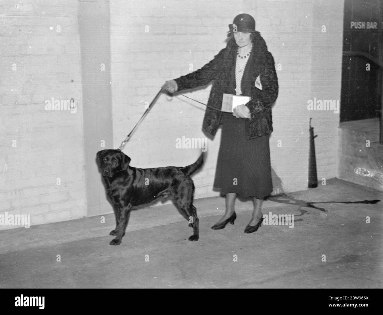 Champion of crufts owned by Countess Howe . Bramshaw Bob , owned by ...