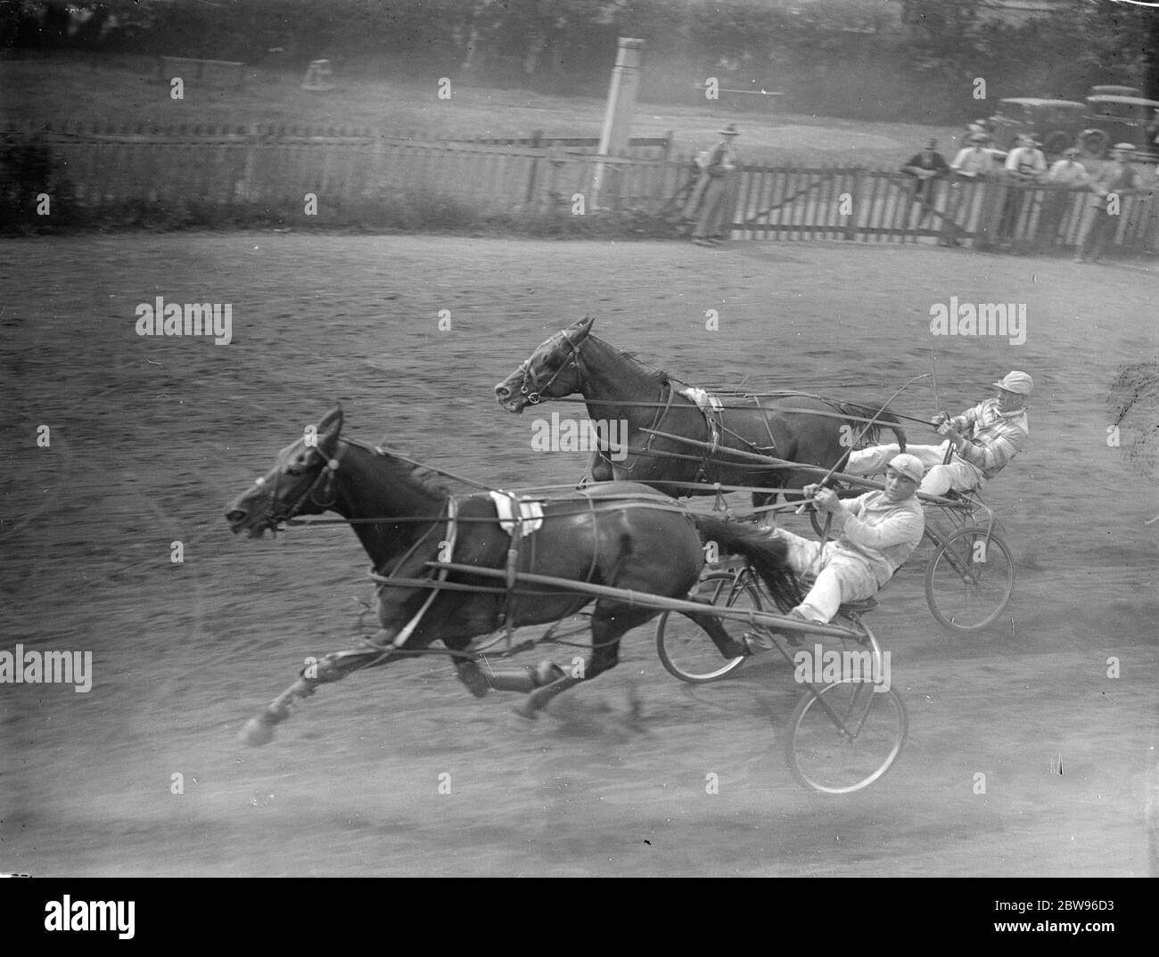 Neck and neck in Greenford trotting races . Competitors racing neck and ...