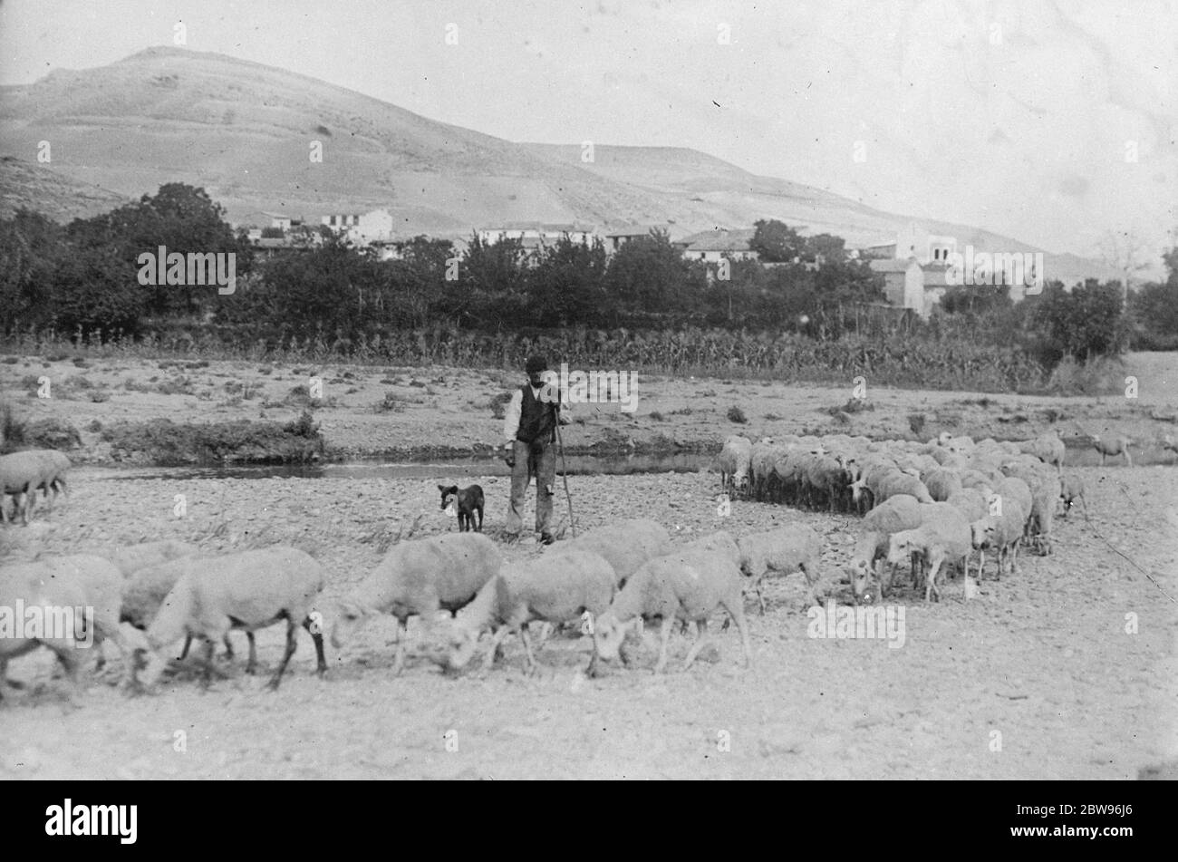 Shepard historical Black and White Stock Photos & Images - Alamy