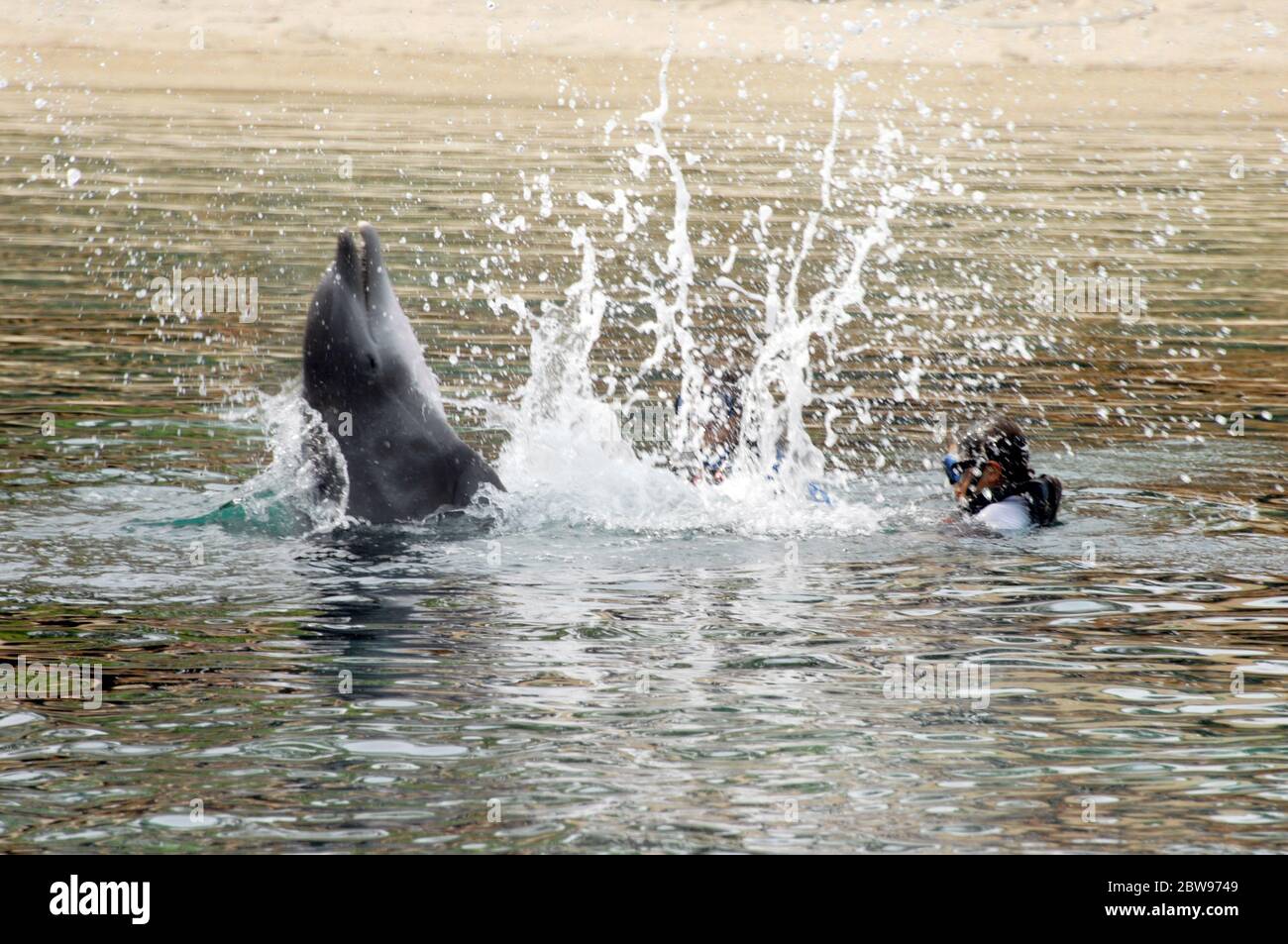 Dolphin enclosure hi-res stock photography and images - Alamy