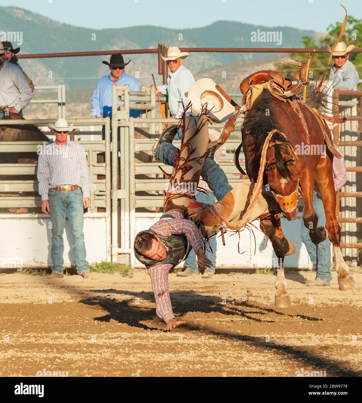 Bronc hi-res stock photography and images - Alamy