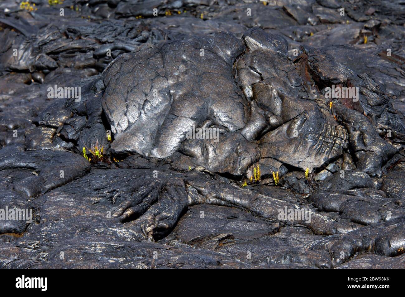 Big bubble of lava at Hawaii Volcanoes National Park hardens and crusts ...