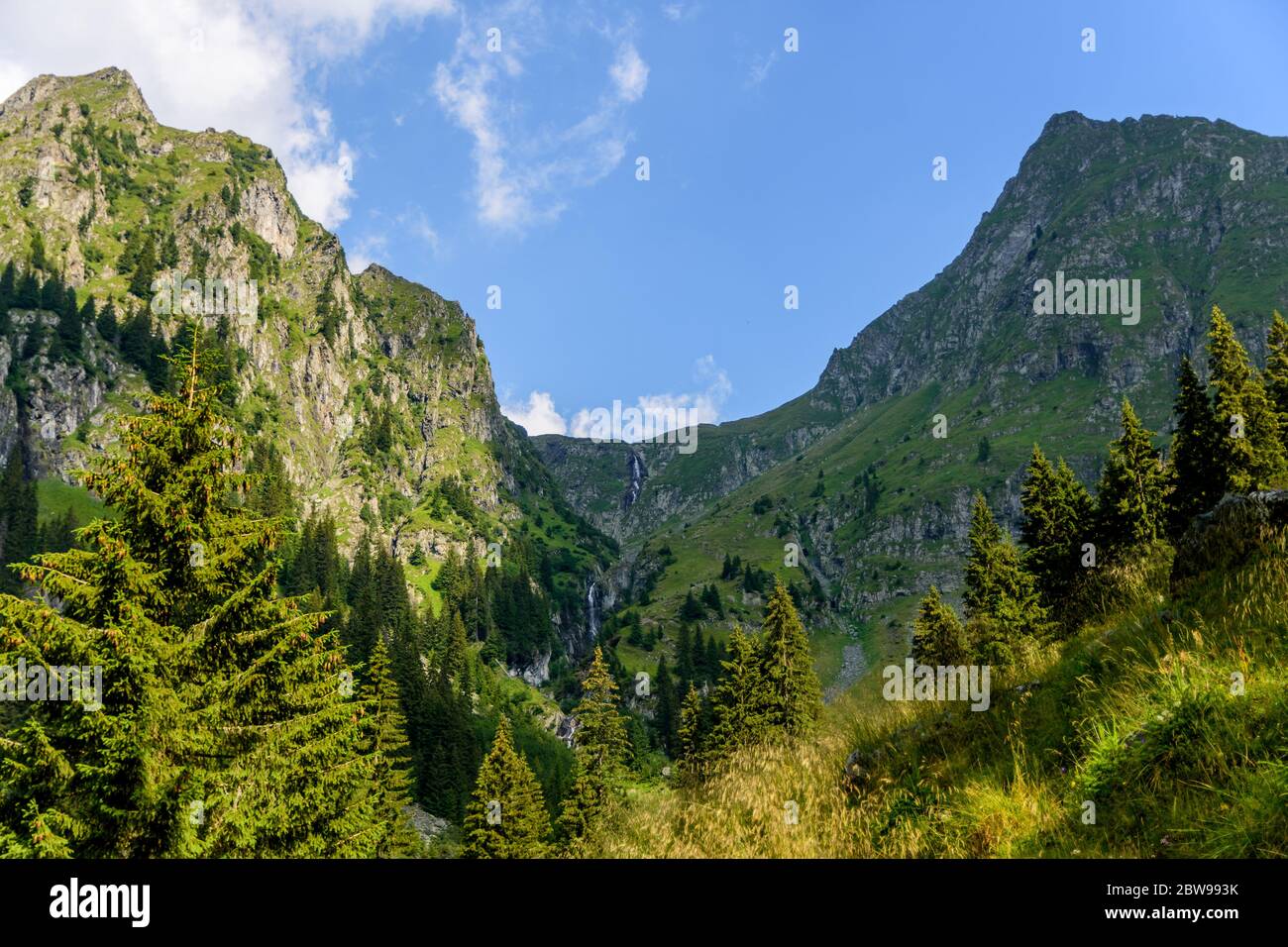 Rea valley park hi-res stock photography and images - Alamy