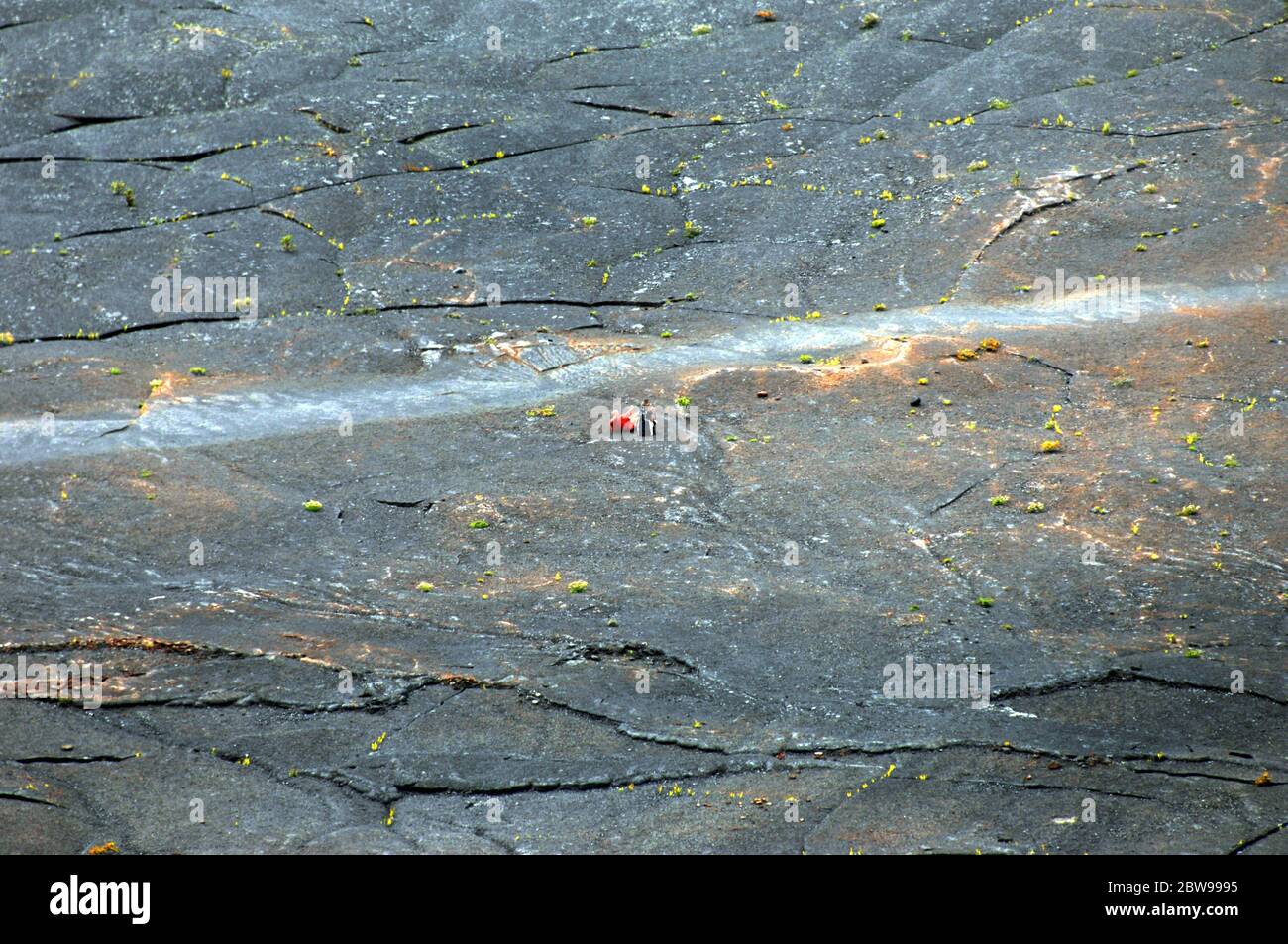 Kilauea Iki Trail leads across the Puu Puai Volcano Crater in the ...