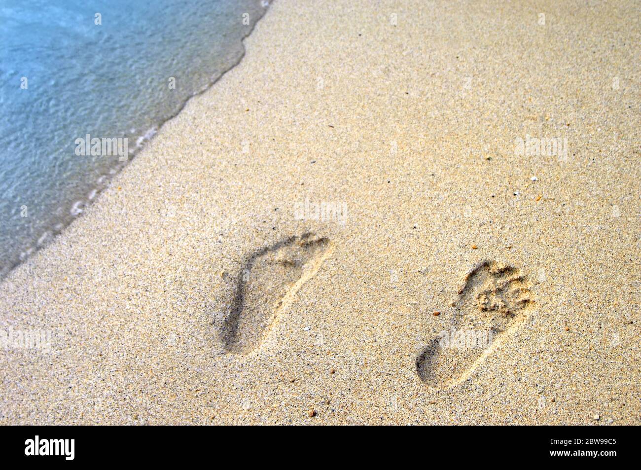 Barefoot barefeet foot feet hi-res stock photography and images - Alamy