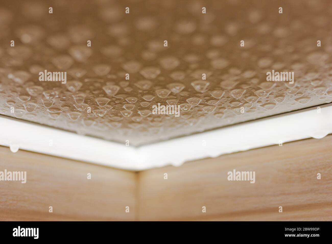 Drops of water fall from the plastered ceiling. flooded neighbors ...