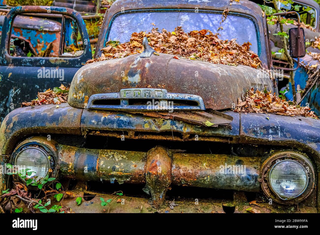 Rusting ford pickup truck hi-res stock photography and images - Alamy