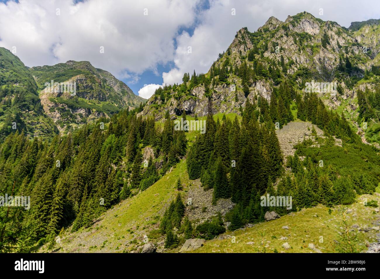 Rea valley park hi-res stock photography and images - Alamy