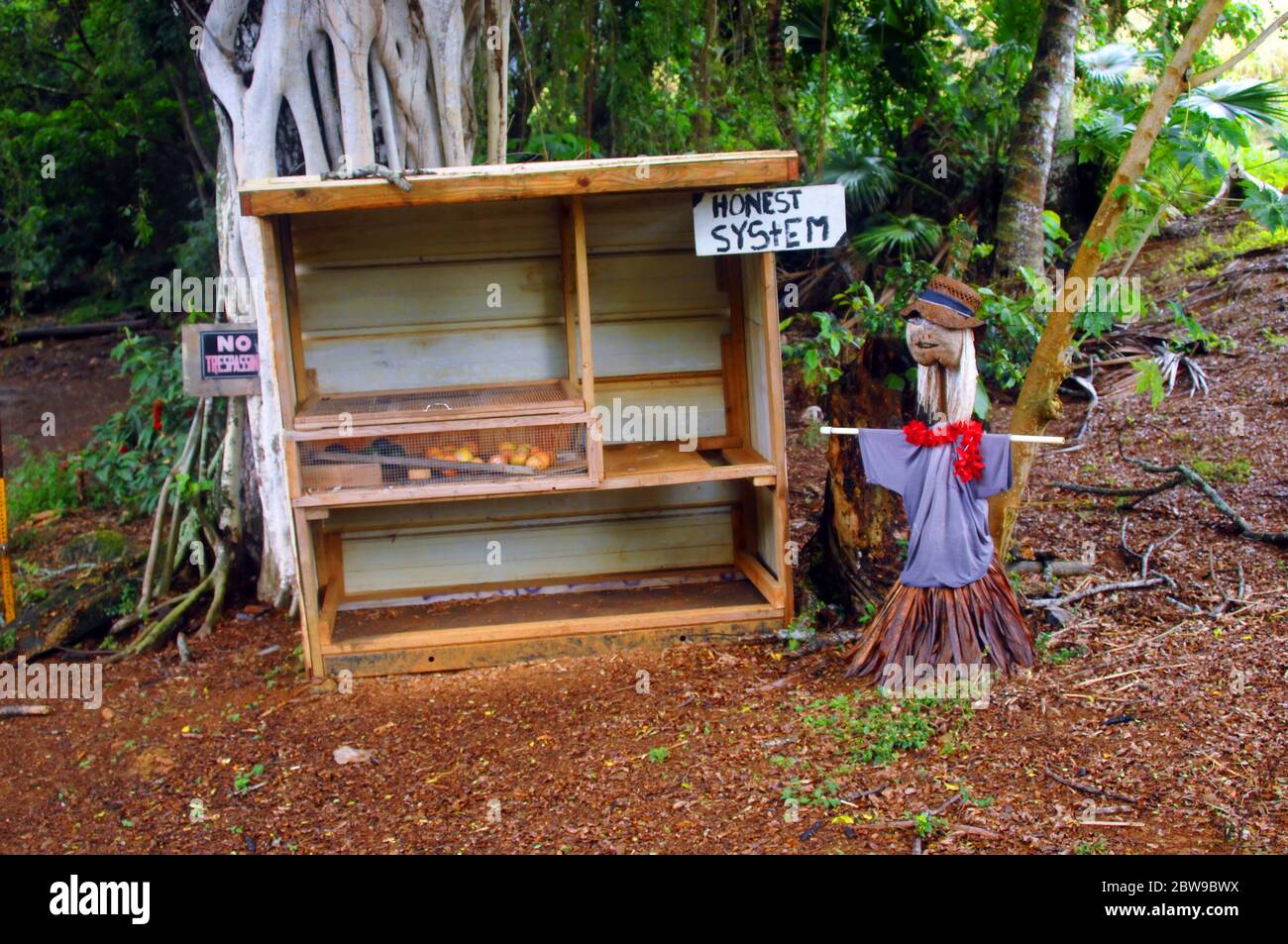 Fruit stand runs on the "honest system" according to sign on stand. A ...
