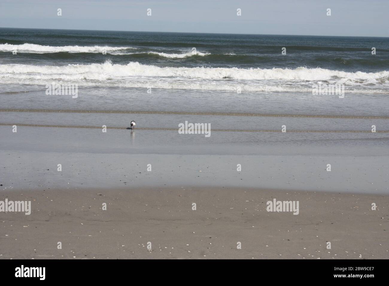 Cape may new beach scene hi-res stock photography and images - Alamy