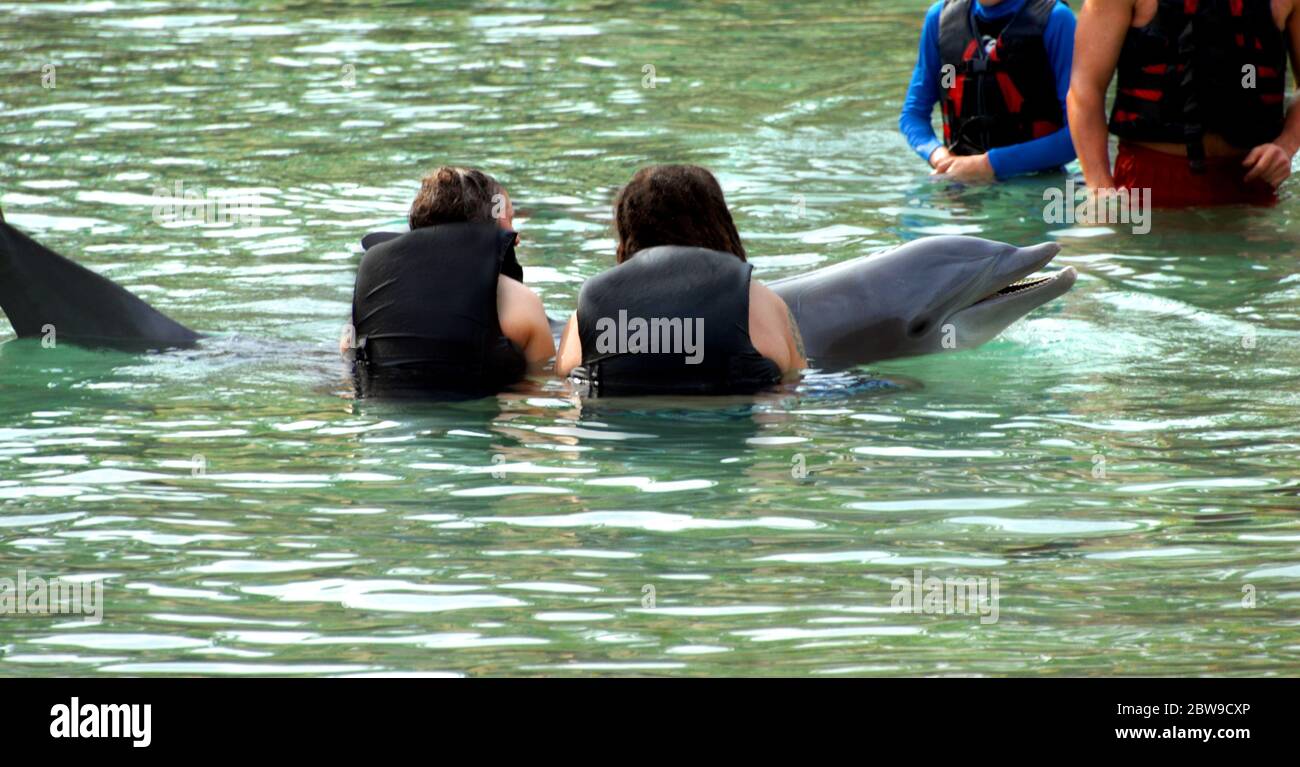 Dolphin enclosure hi-res stock photography and images - Alamy