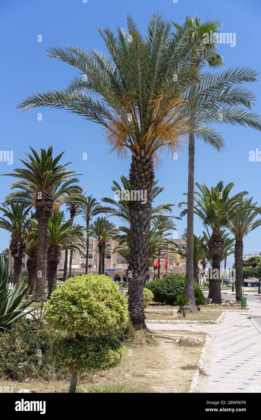 Monastir port hi-res stock photography and images - Alamy