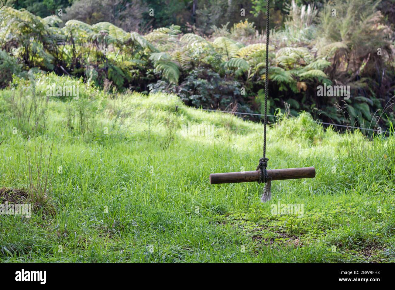 A wooden rope swing in a green garden Stock Photo - Alamy
