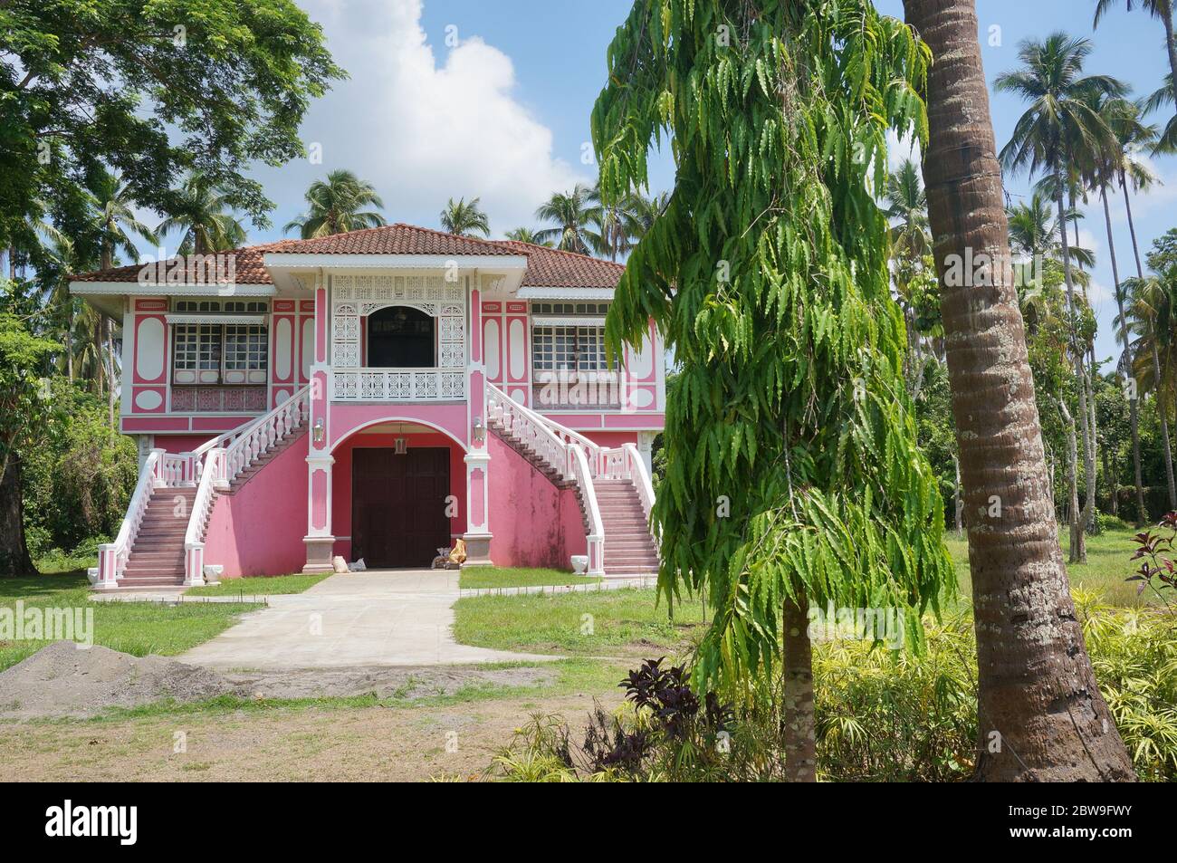 Philippines pink plant hi-res stock photography and images - Alamy
