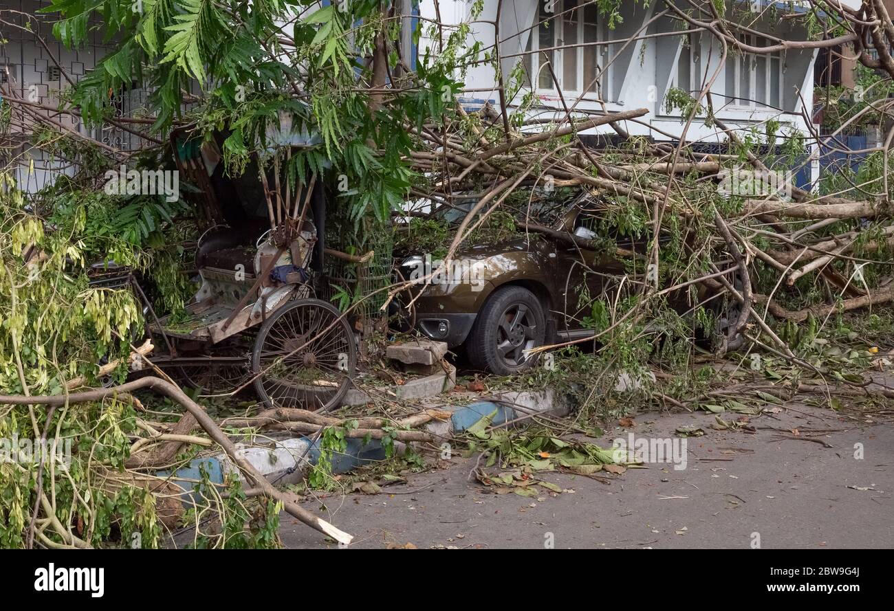 Crushed car by tree hi-res stock photography and images - Alamy