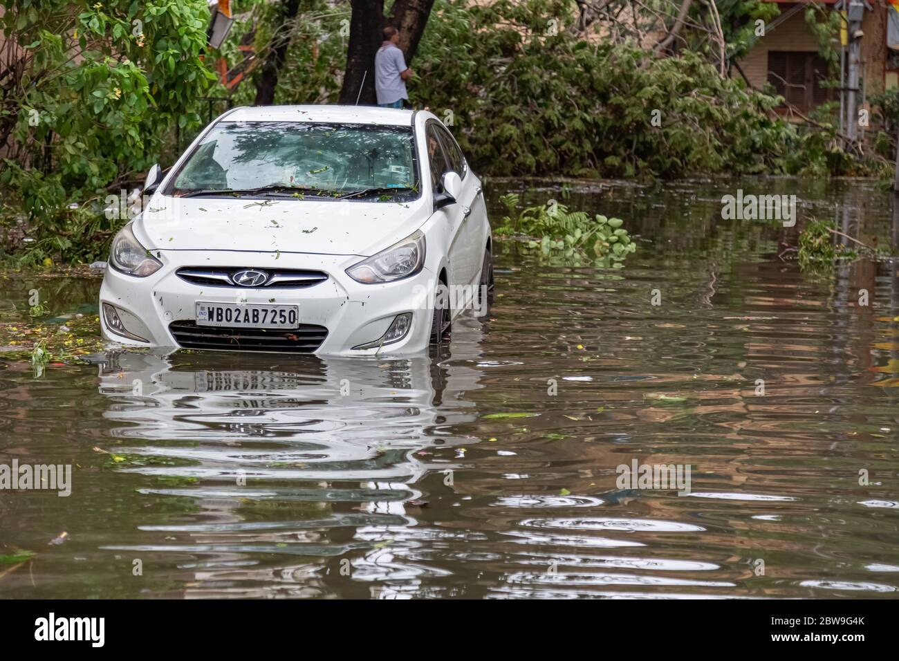 Cyclonic storm damage caused by Amphan cyclone with uprooted trees and ...