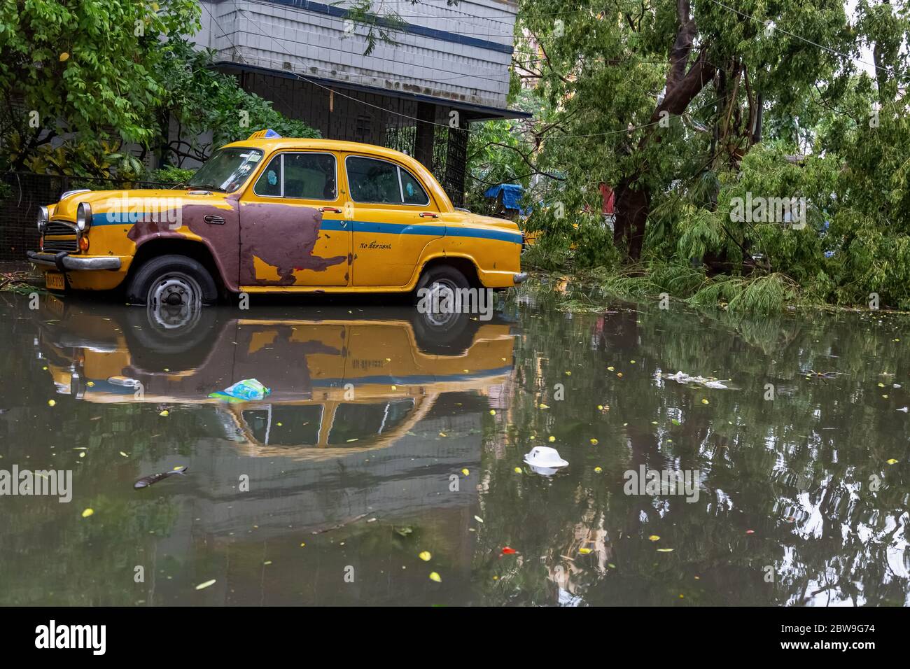 Cyclonic storm damage caused by Amphan cyclone with uprooted trees and ...