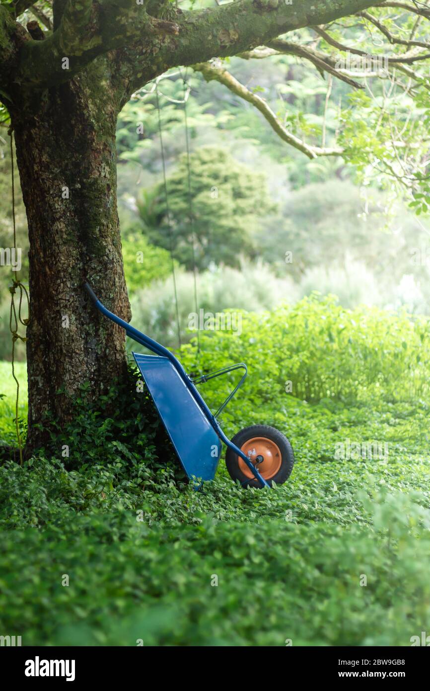 A blue wheelbarrow in a green garden Stock Photo - Alamy
