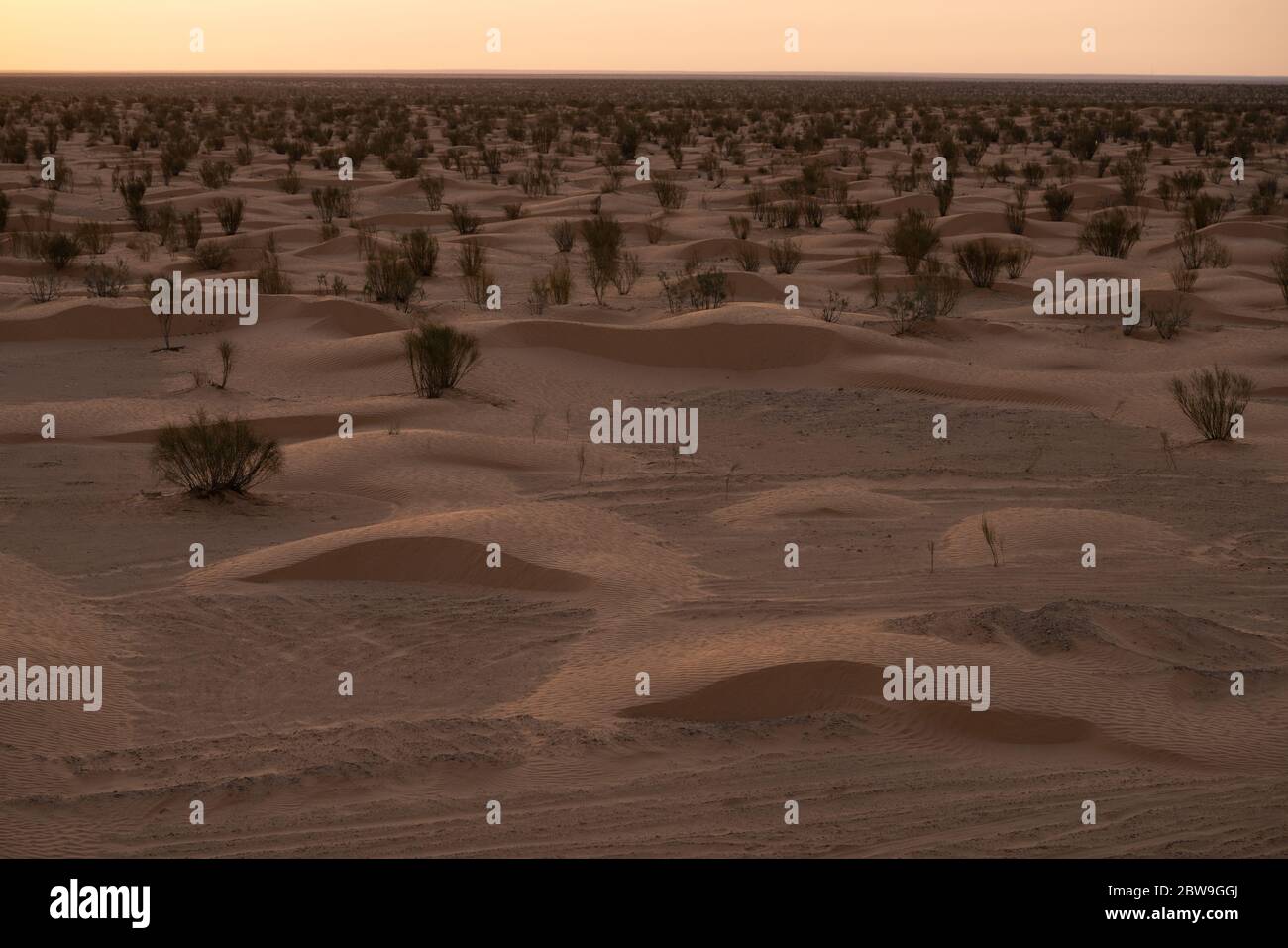 Ksar Ghilane High Resolution Stock Photography and Images - Alamy