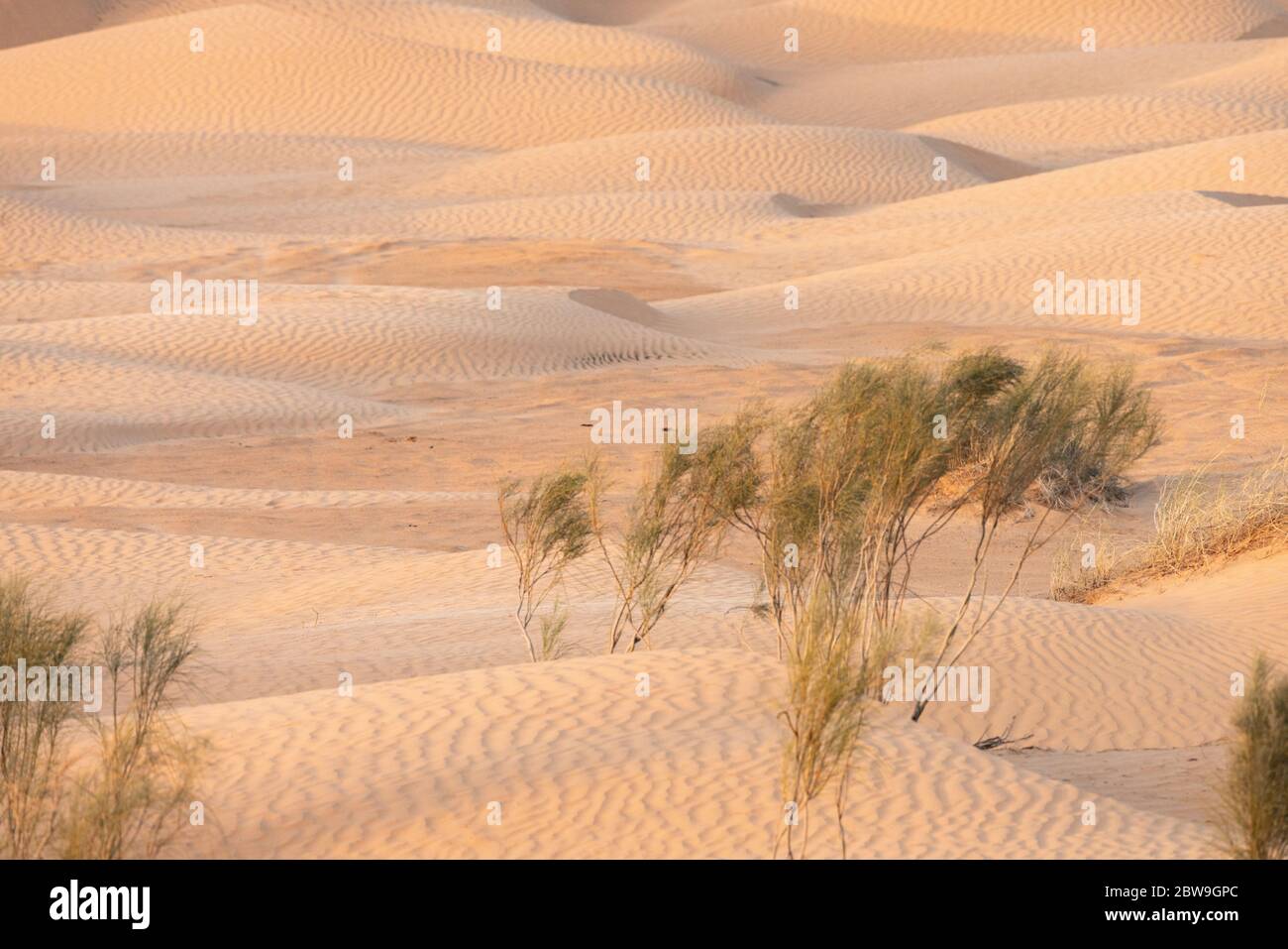 Ksar tunisia hi-res stock photography and images - Alamy