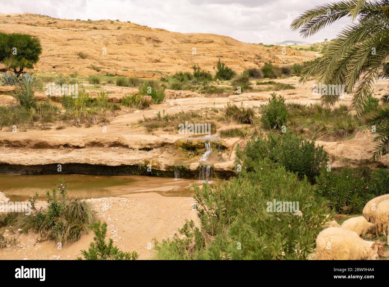 Sahel landscape hi-res stock photography and images - Alamy