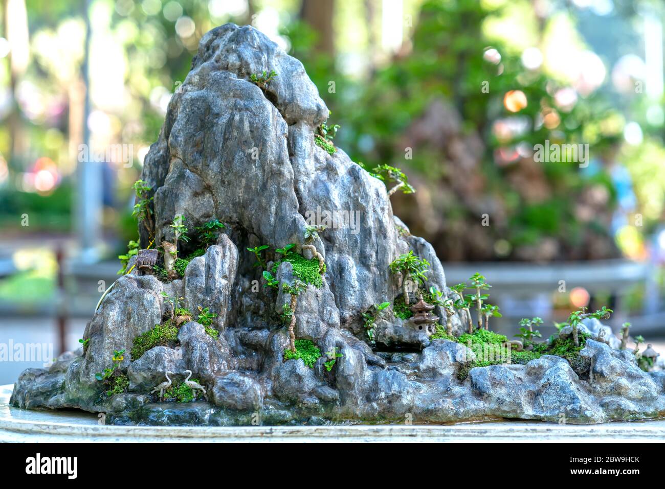 Penjing miniature in a tray in the shape of the stem is shaped create ...
