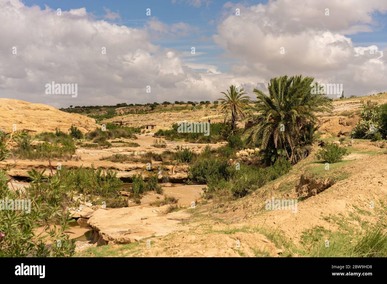 view of oueslatia, tunisian landscape Stock Photo - Alamy