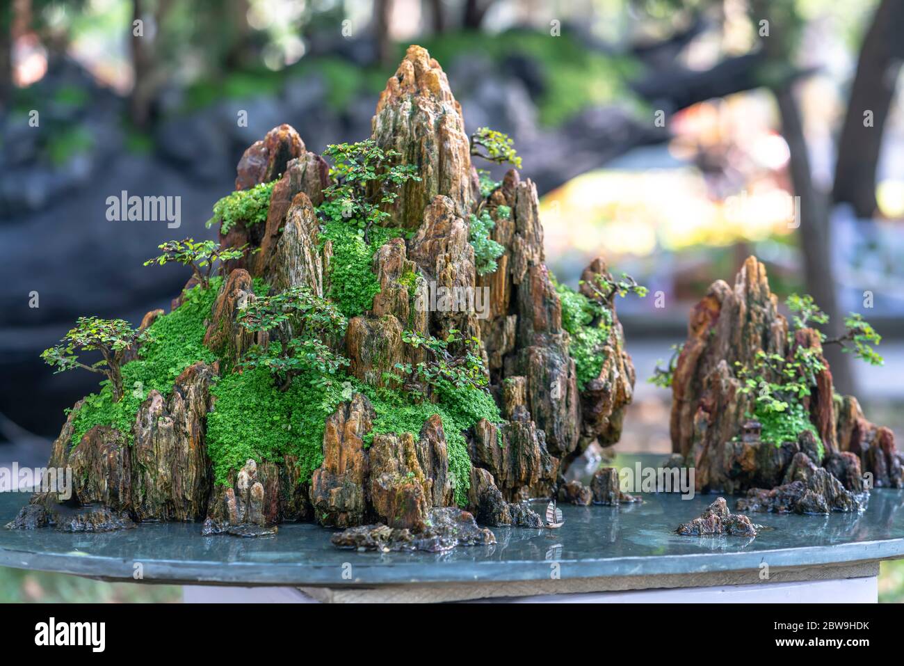 Penjing miniature in a tray in the shape of the stem is shaped create ...