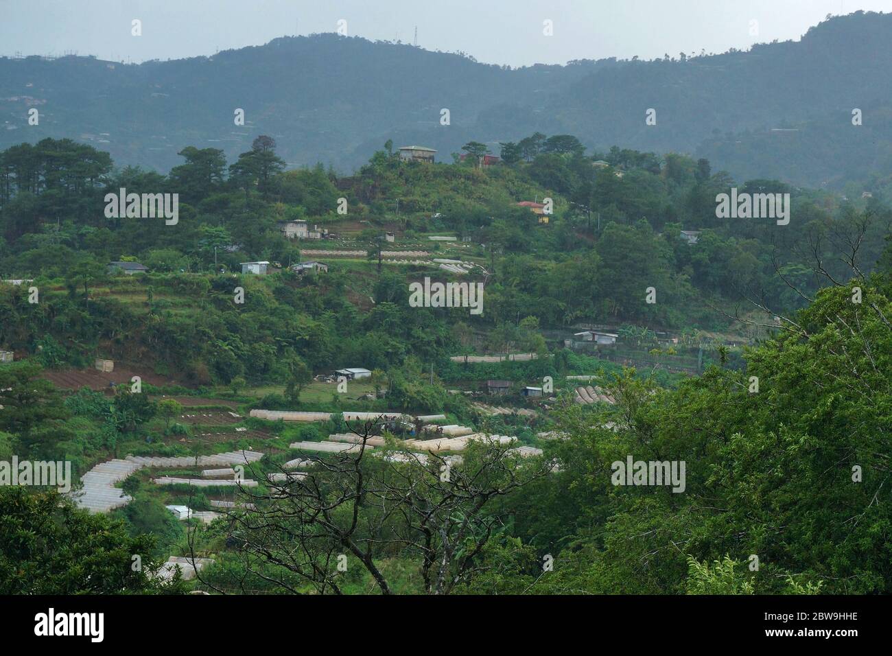 Residential and agricultural farm in a rural area in Benguet ...