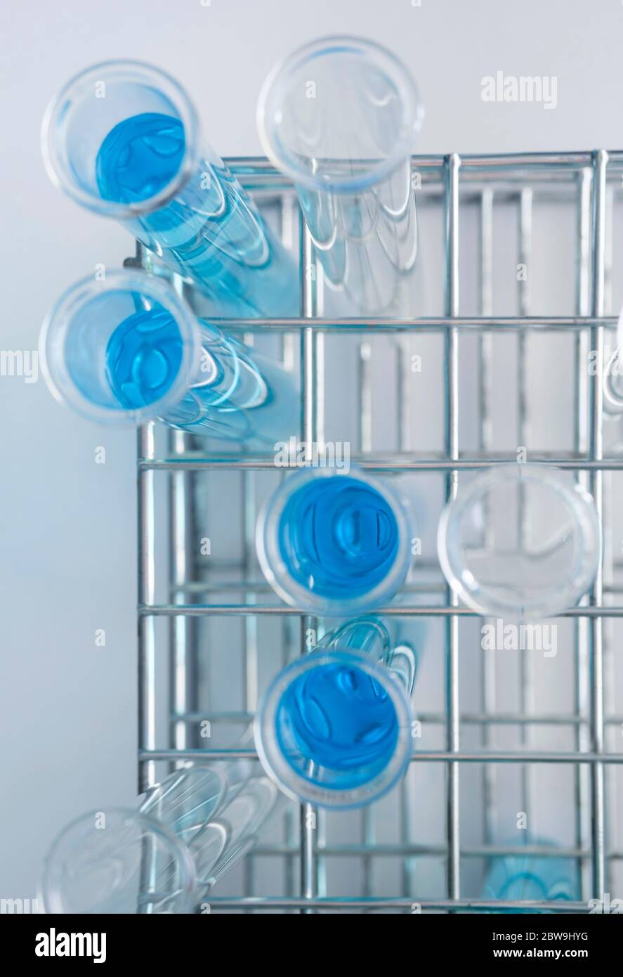 Test tube rack blue liquid hi-res stock photography and images - Alamy