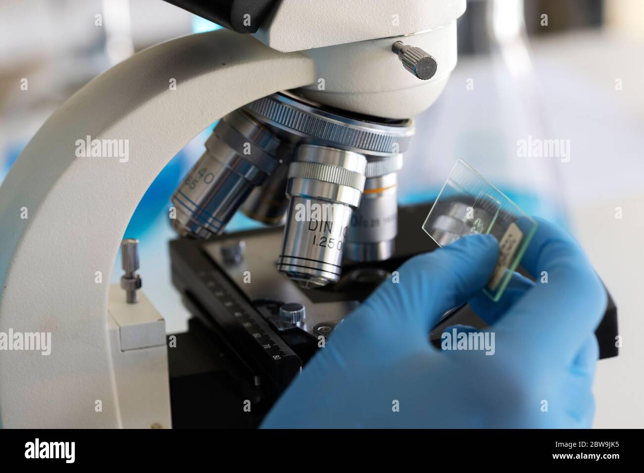 Laboratory technician using microscope Stock Photo - Alamy