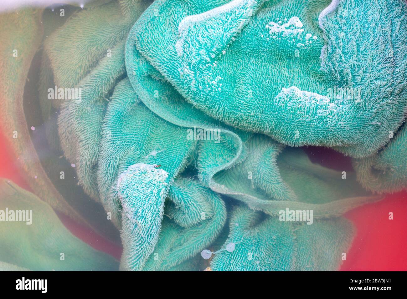 Woman water wet clothes hi-res stock photography and images - Alamy