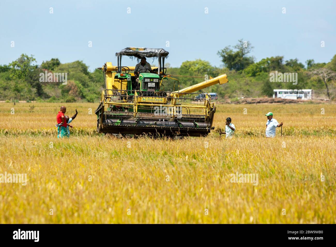 A mechanical harvester is moved into position to begin reaping a field ...