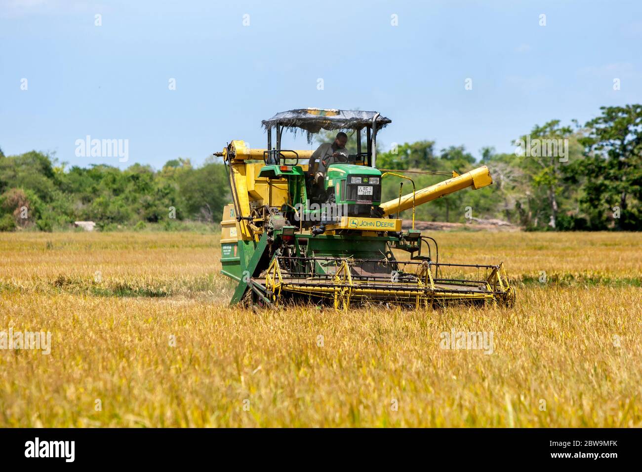 A mechanical harvester begins reaping a field of rice near Panama in ...