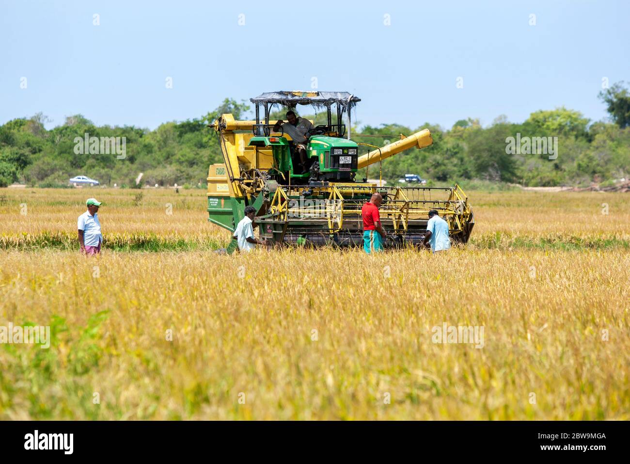 A mechanical harvester is moved into position to begin reaping a field ...