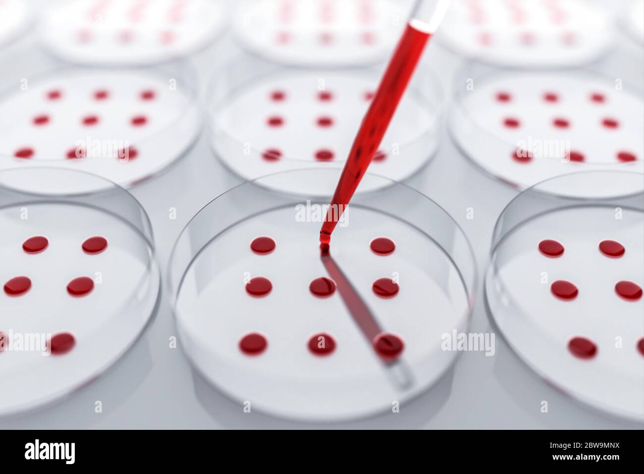 Blood sample tested on petri dish in laboratory Stock Photo - Alamy
