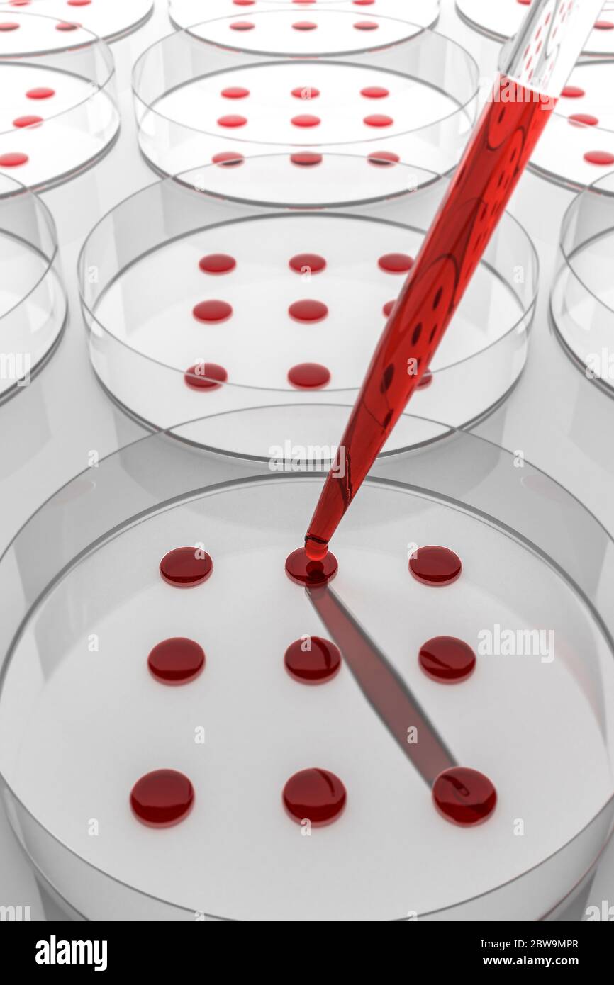 Blood sample tested on petri dish in laboratory Stock Photo - Alamy