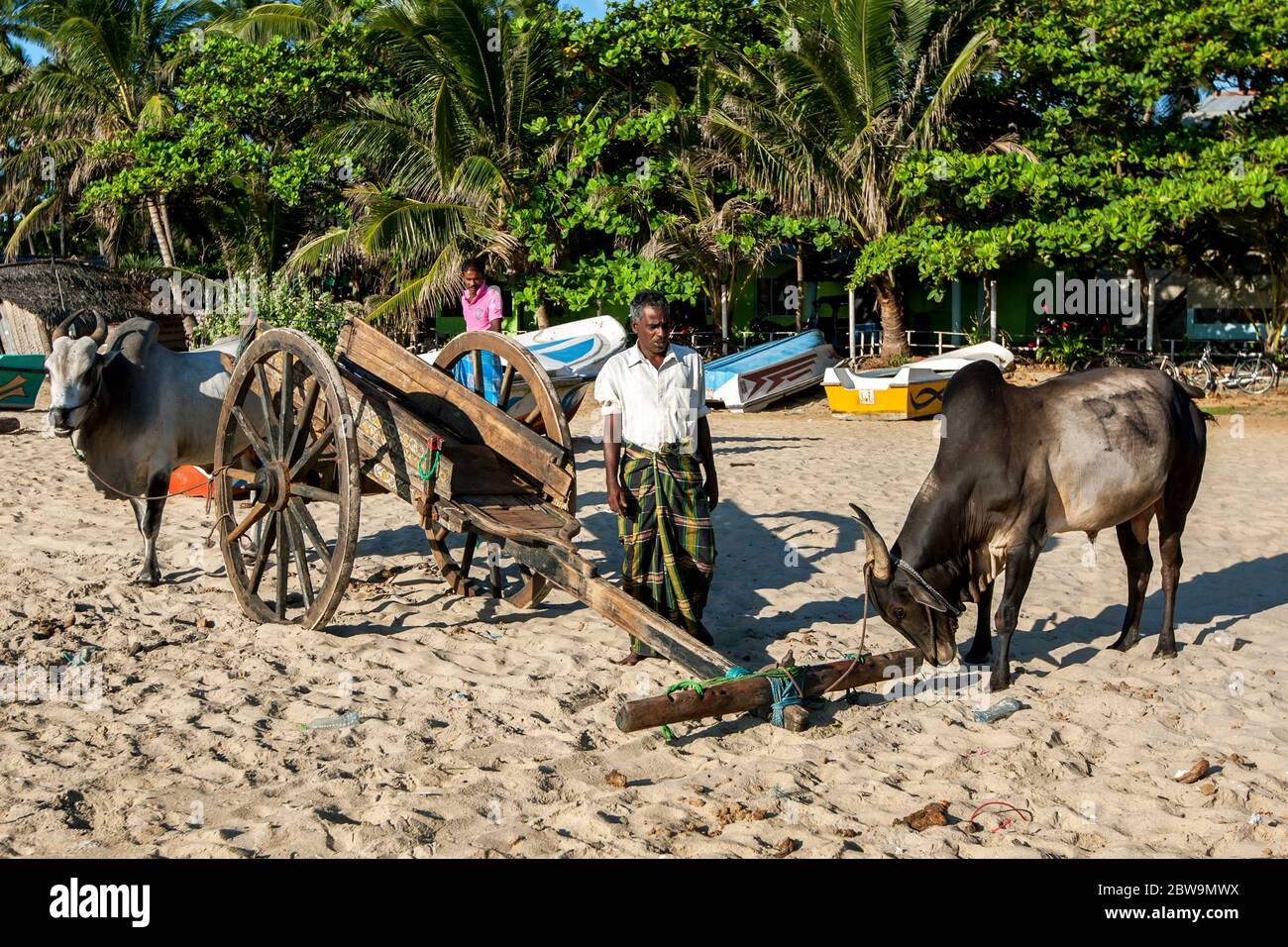 A stream of people climb the stairway from the Lion Platform towards ...