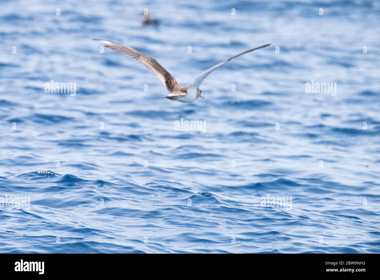 Zembra island hi-res stock photography and images - Alamy