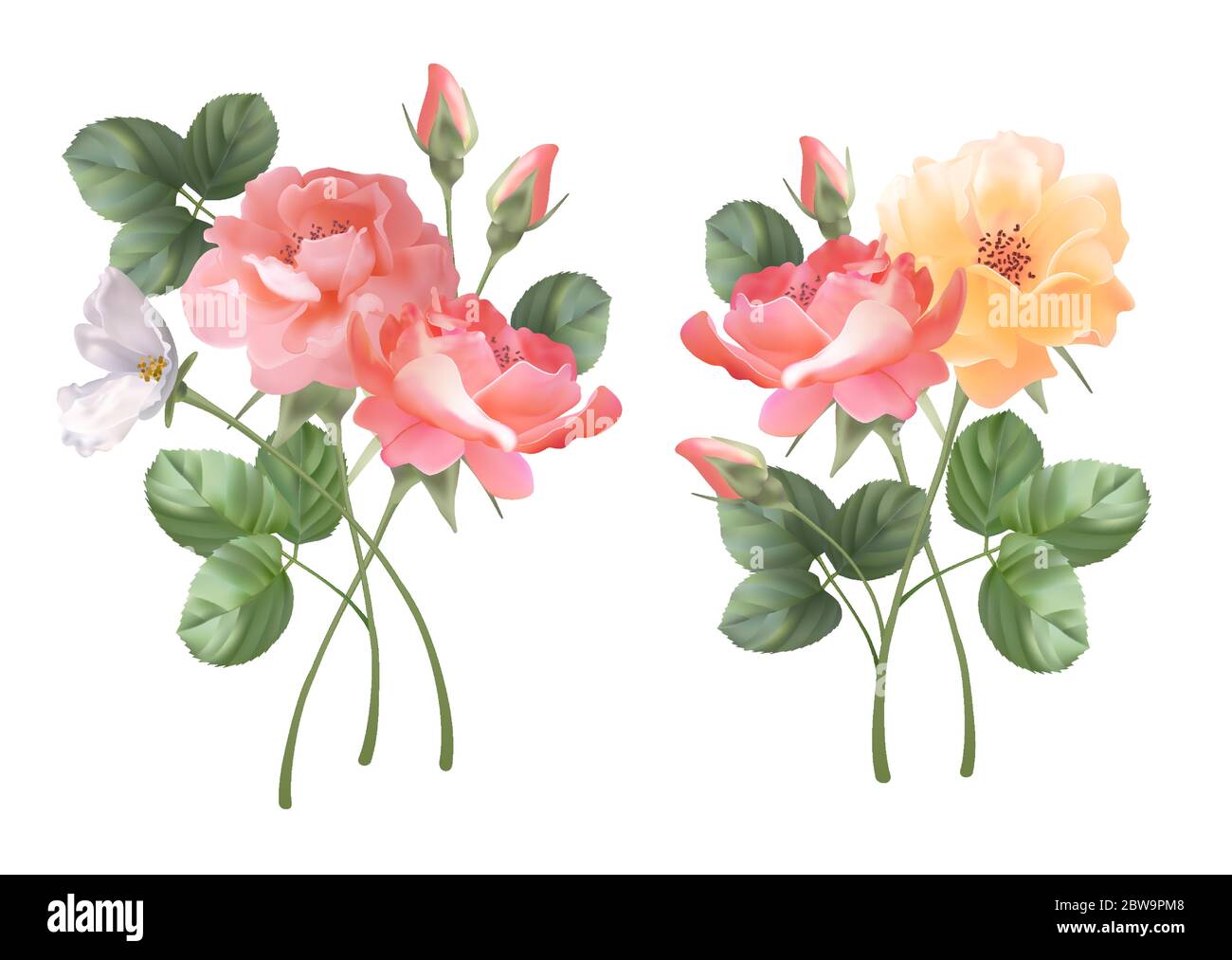 Set of flower bouquets Stock Vector Image & Art - Alamy