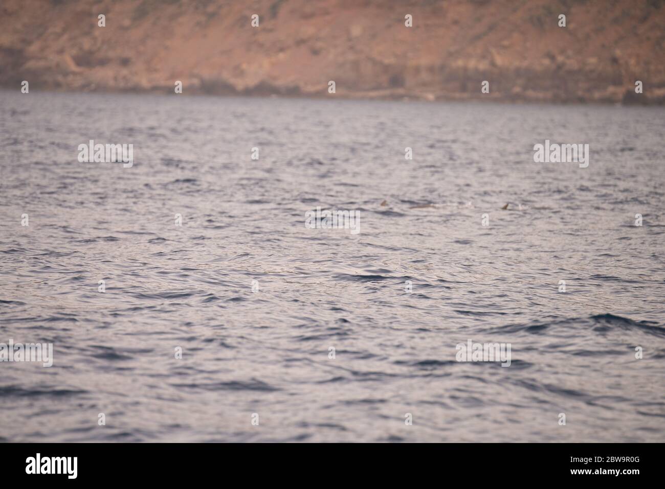 Zembra hi-res stock photography and images - Alamy