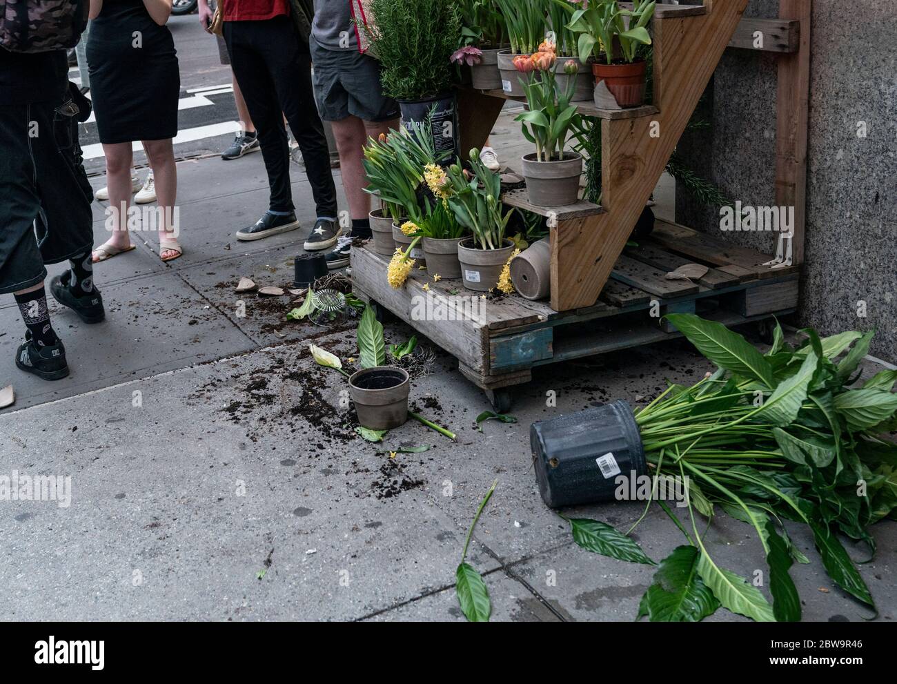 New York, NY - May 30, 2020: Protesters destroyed display of flowers at ...