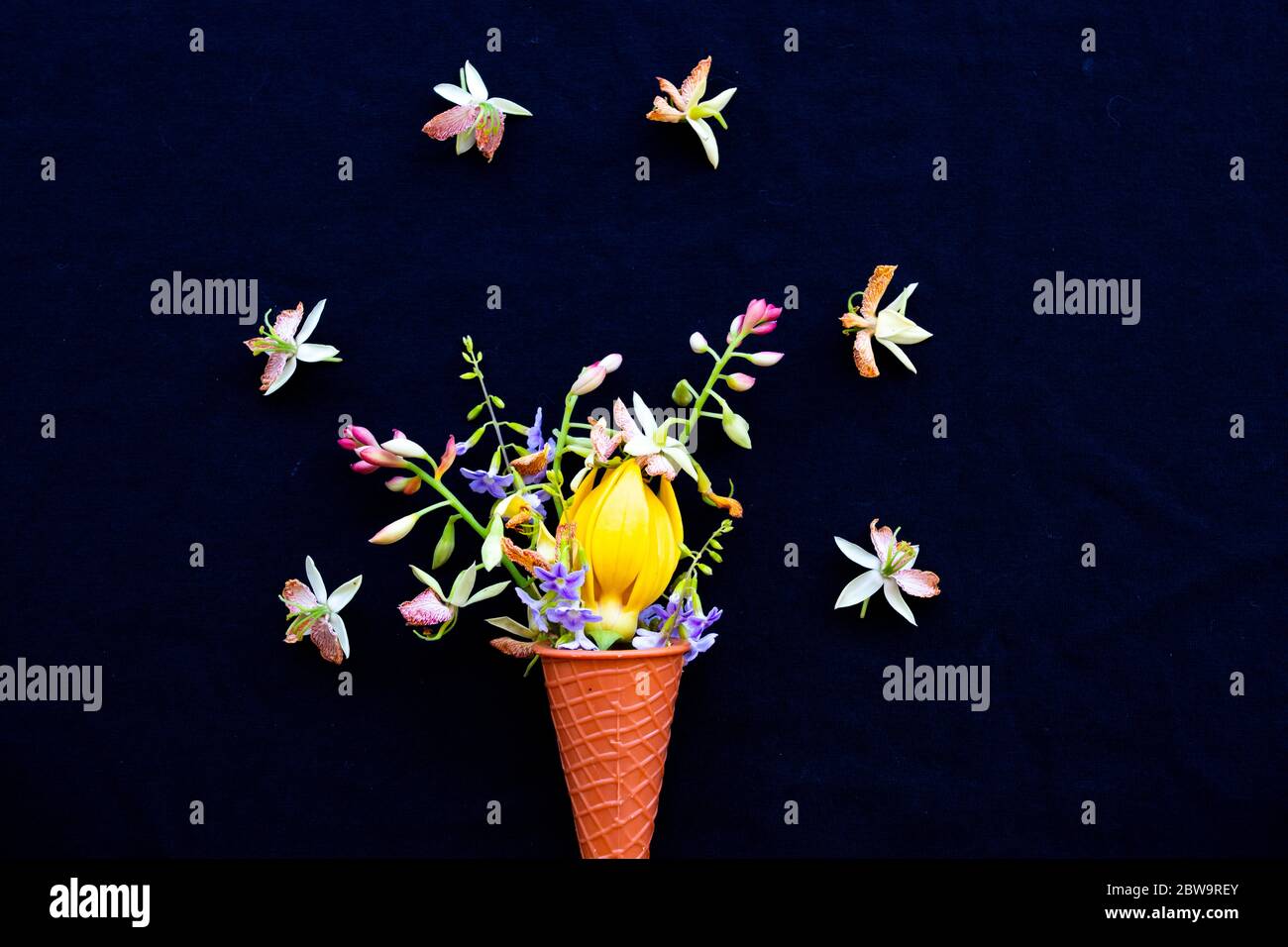 Tamarind flower hi-res stock photography and images - Alamy