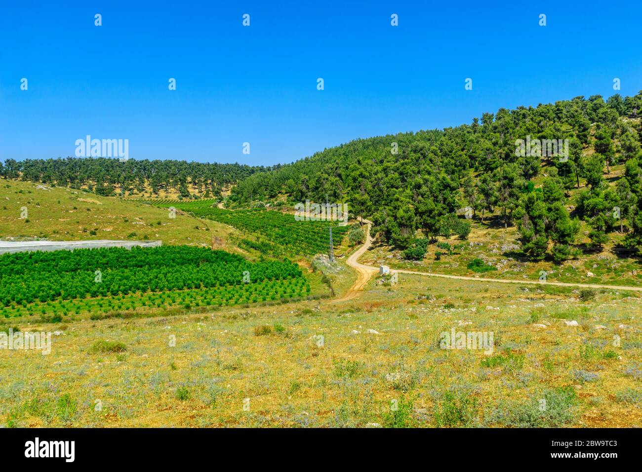 Landscape of countryside in Meron, upper Galilee, Northern Israel Stock ...