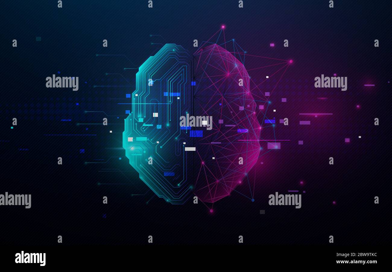 Left and right brain functions hi-res stock photography and images - Alamy