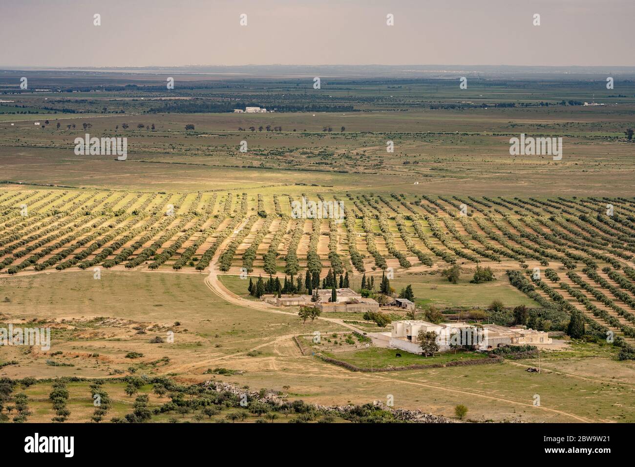 Welcome to tunisia : takrouna Stock Photo - Alamy